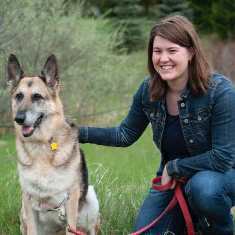About Us – Mitten Animal Hospital