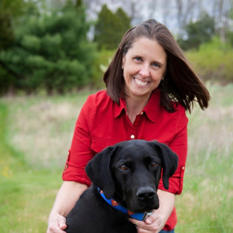 About Us – Mitten Animal Hospital