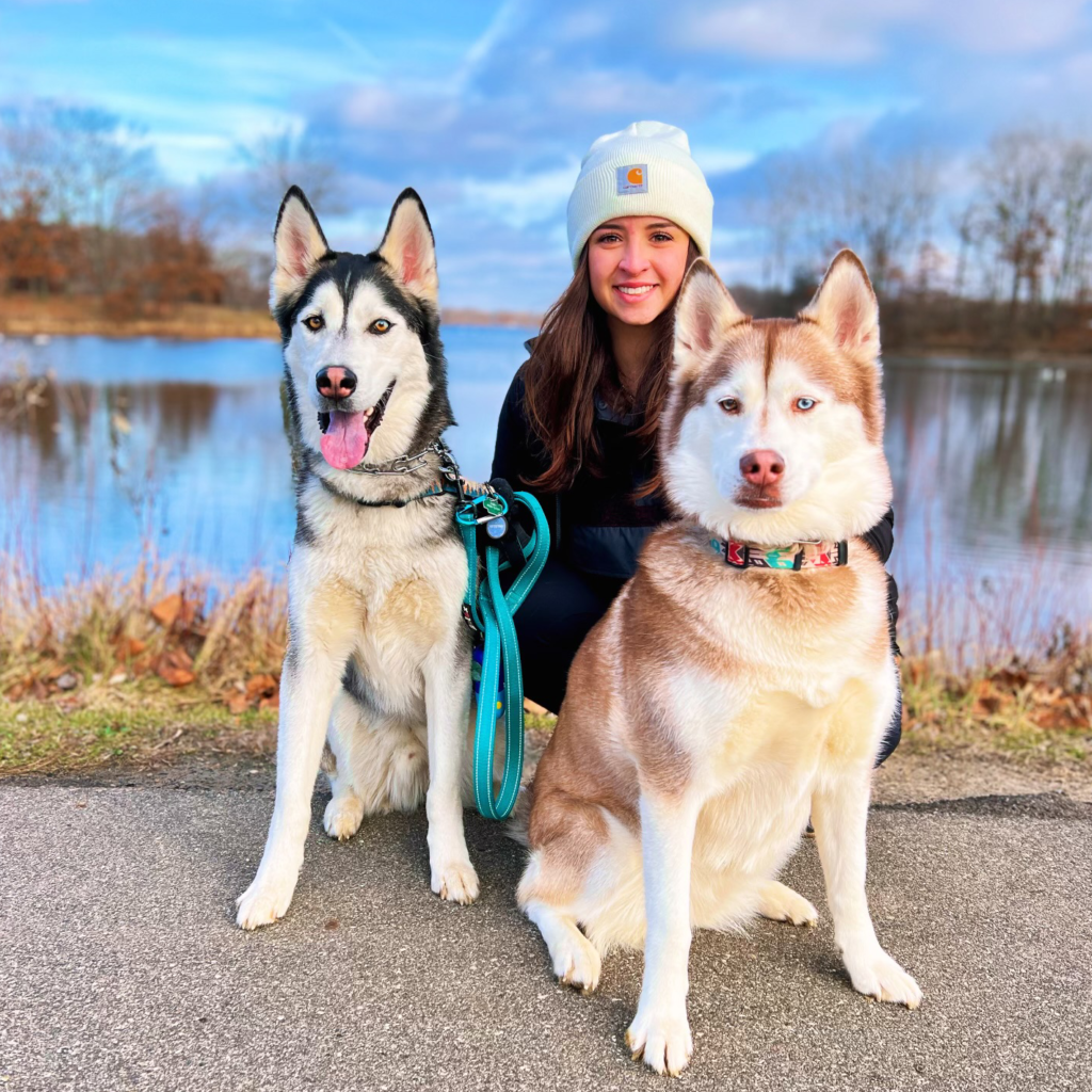 About Us – Mitten Animal Hospital